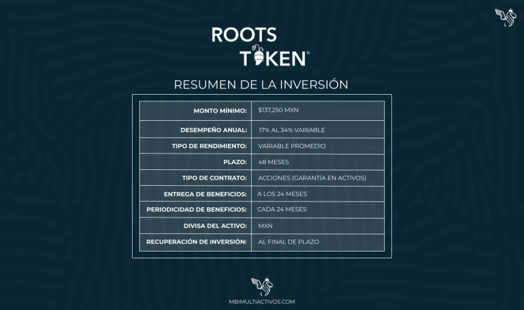ROOTS TOKEN – MULTIASSETS